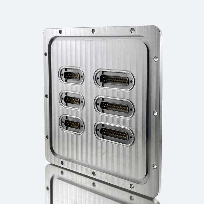 Machined plate with SUB-D ports - Neyco